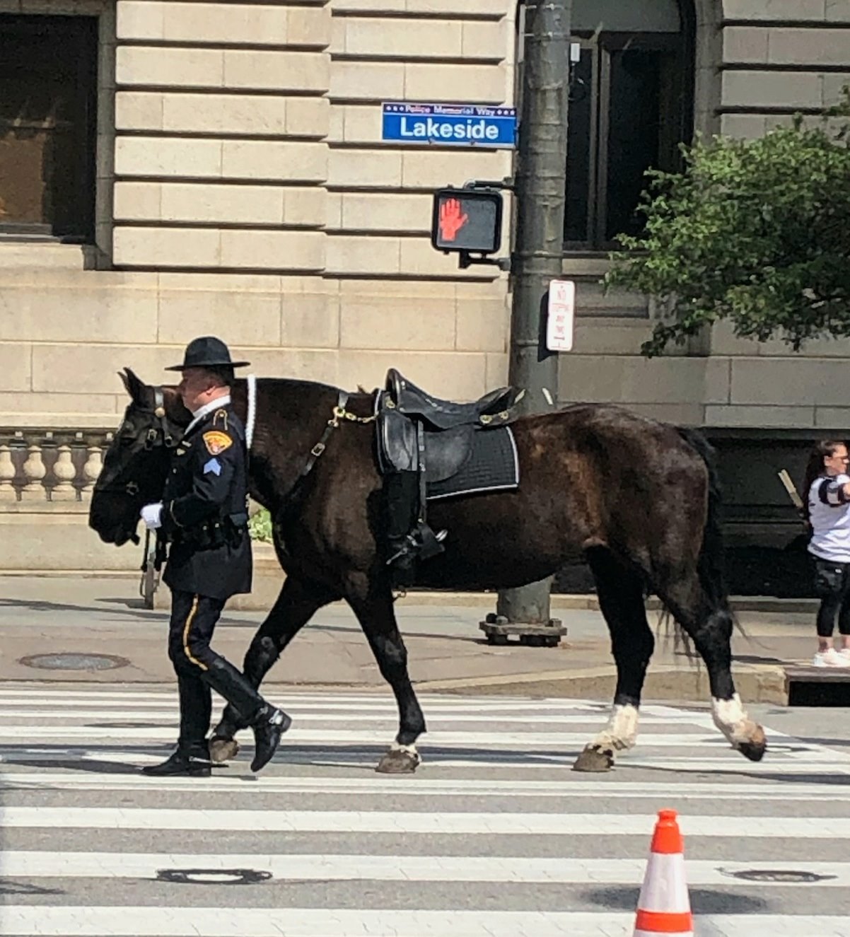 The Pride of the Cleveland Police Mounted Unit - The Cleveland Police ...